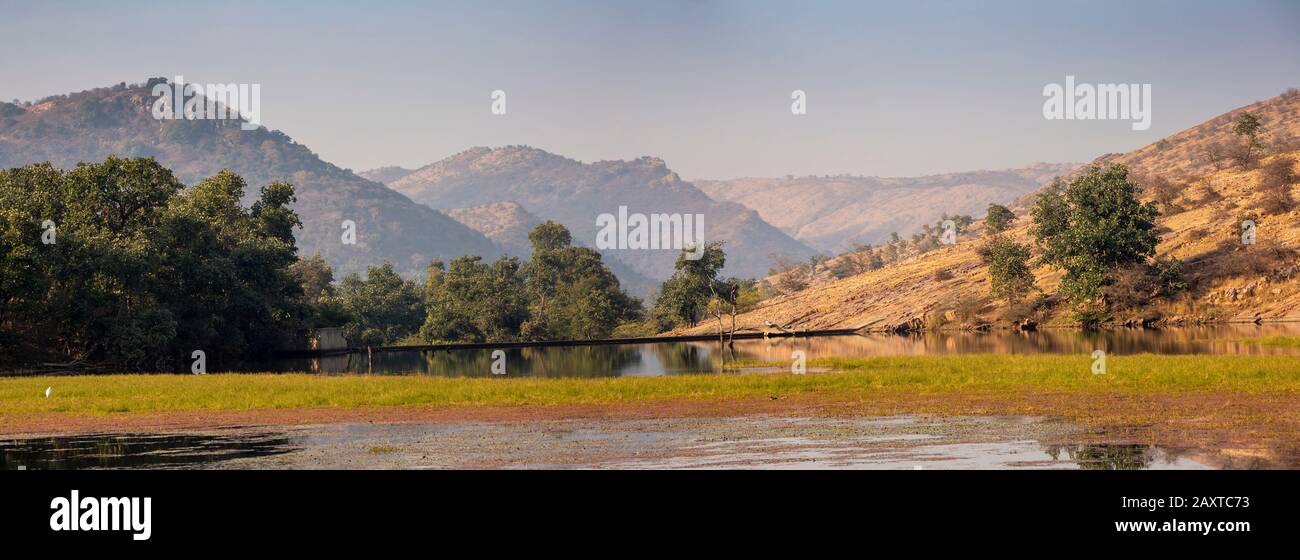 India, Rajasthan, Ranthambhore, National Park, Zone 1, Padam Talao lake ...