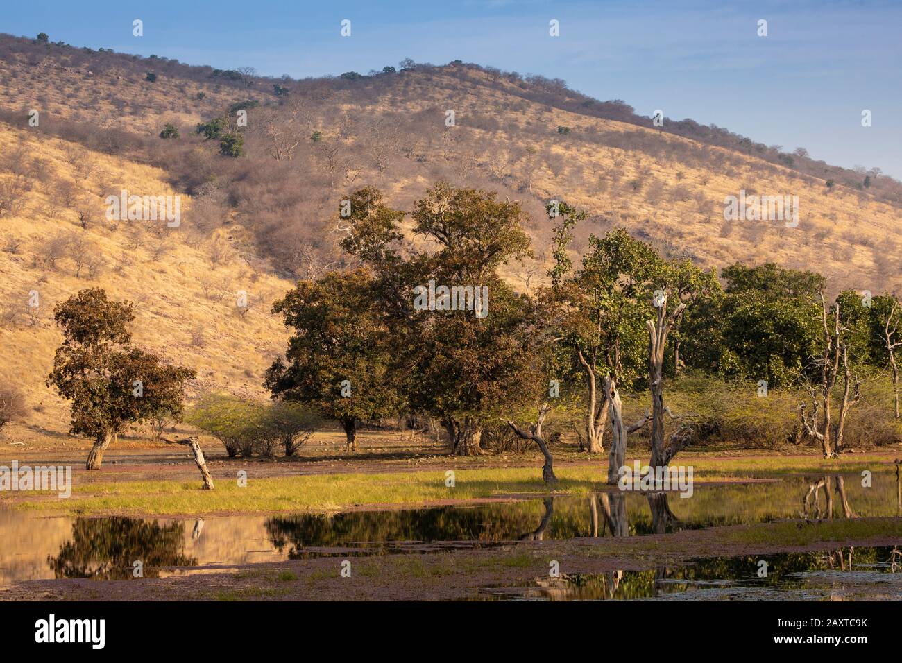 Padam talao lake hi-res stock photography and images - Alamy