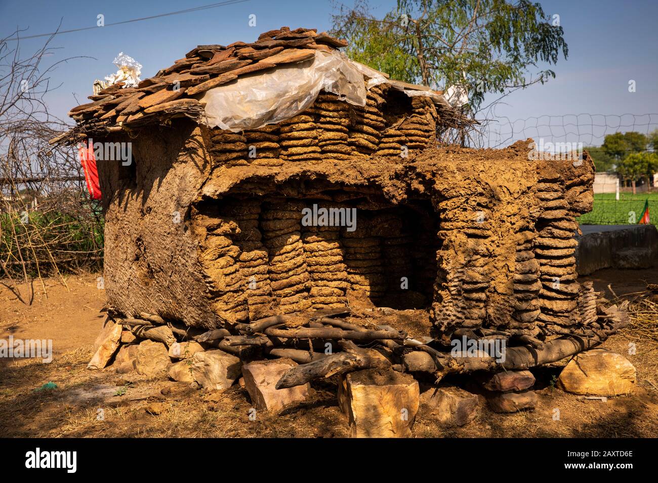 Cow dung life hi-res stock photography and images - Alamy