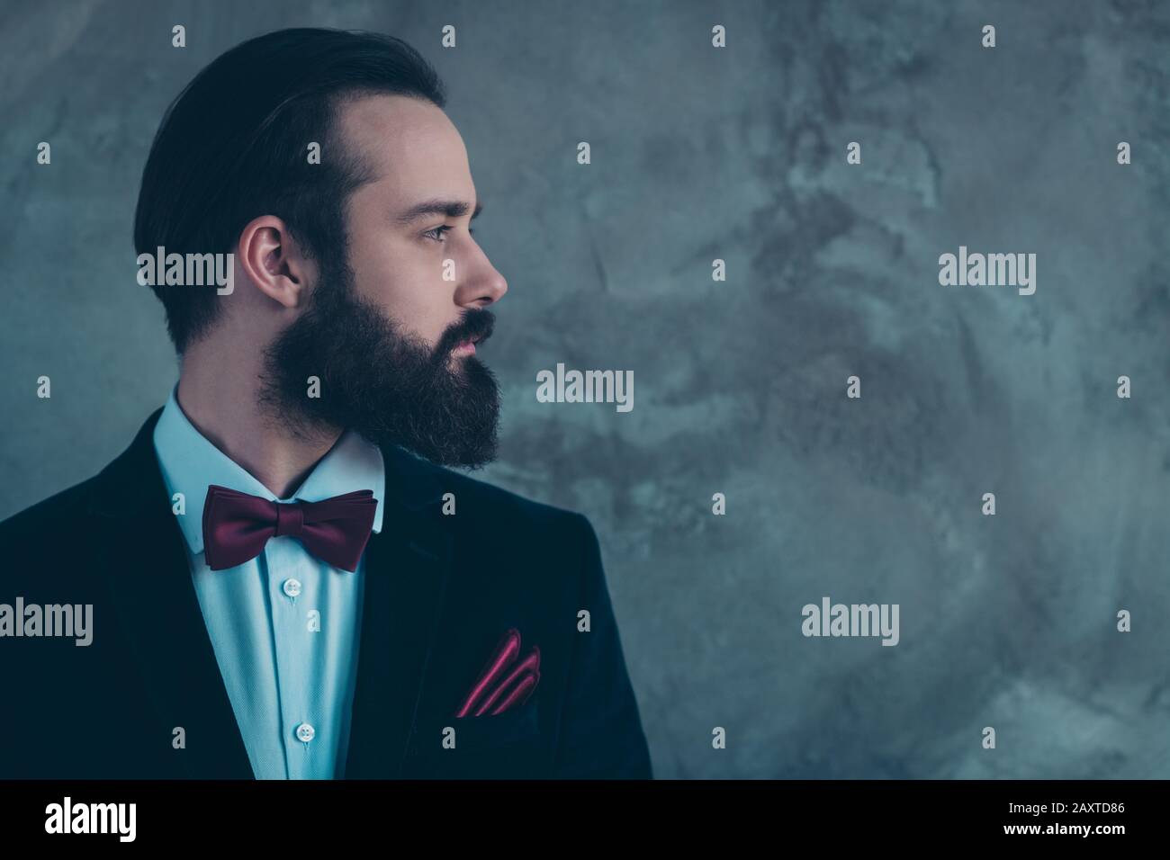 Close-up profile side view portrait of his he nice attractive bearded ...