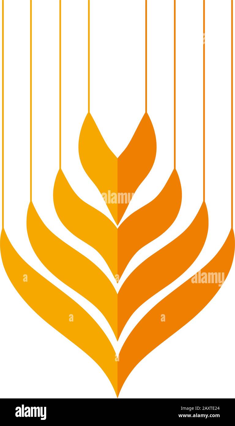 Vector yellow wheat in abstract shape Stock Vector Image & Art - Alamy