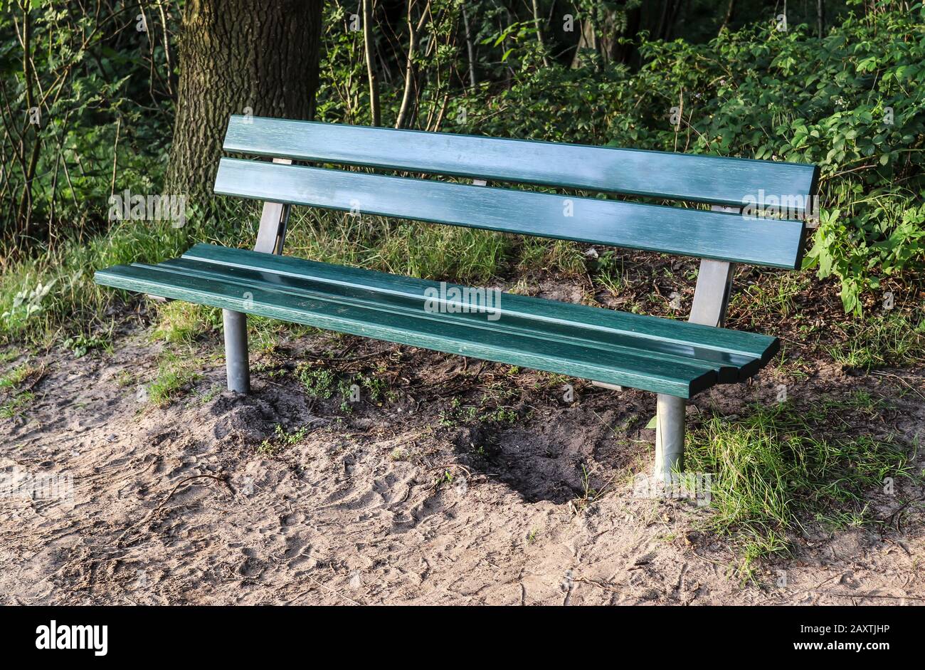 Lonely old and cosy bench in a park area Stock Photo - Alamy