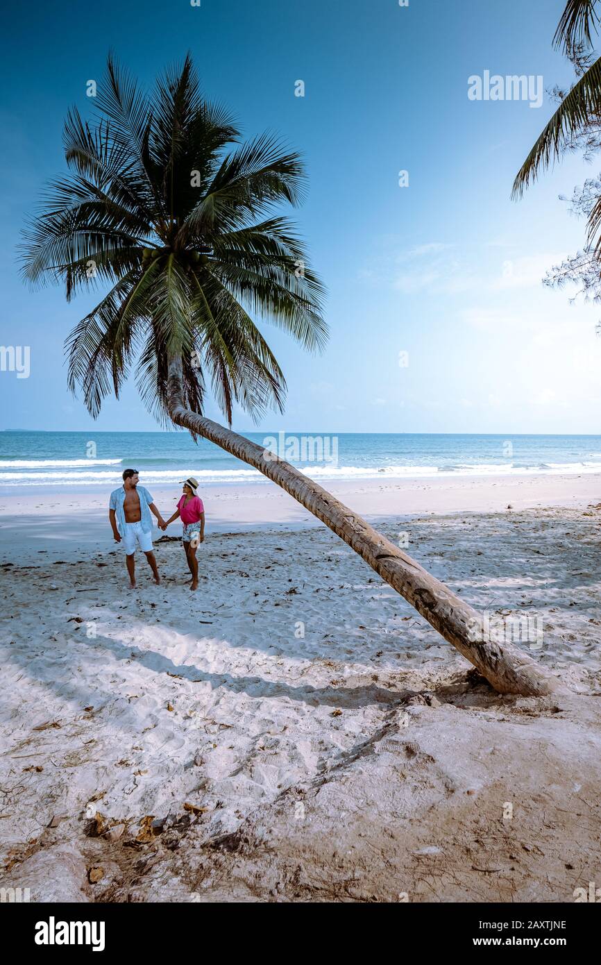 Wua Laen beach Chumphon area Thailand, palm tree hanging over the beach ...