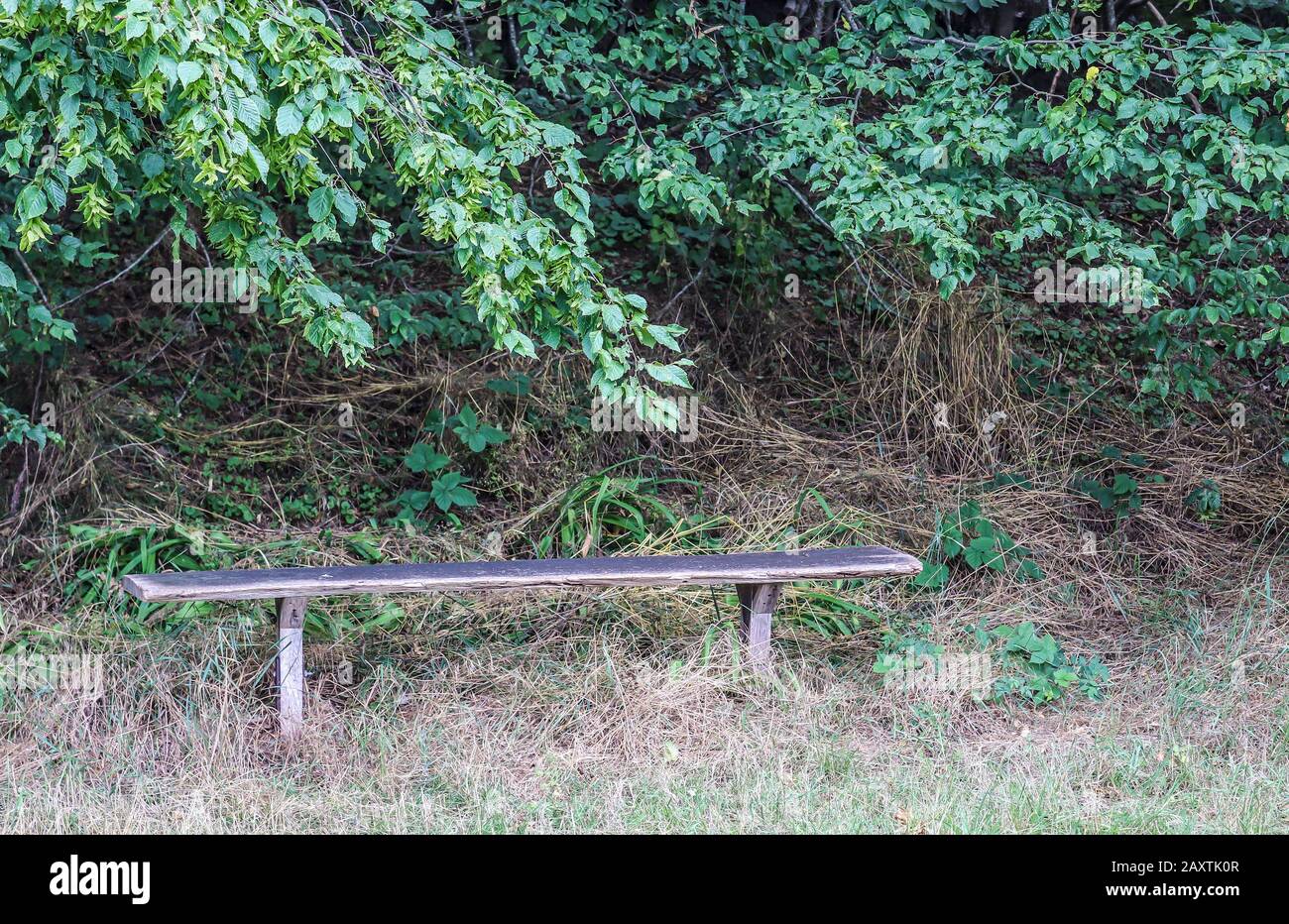 Lonely old cosy bench hi-res stock photography and images - Alamy