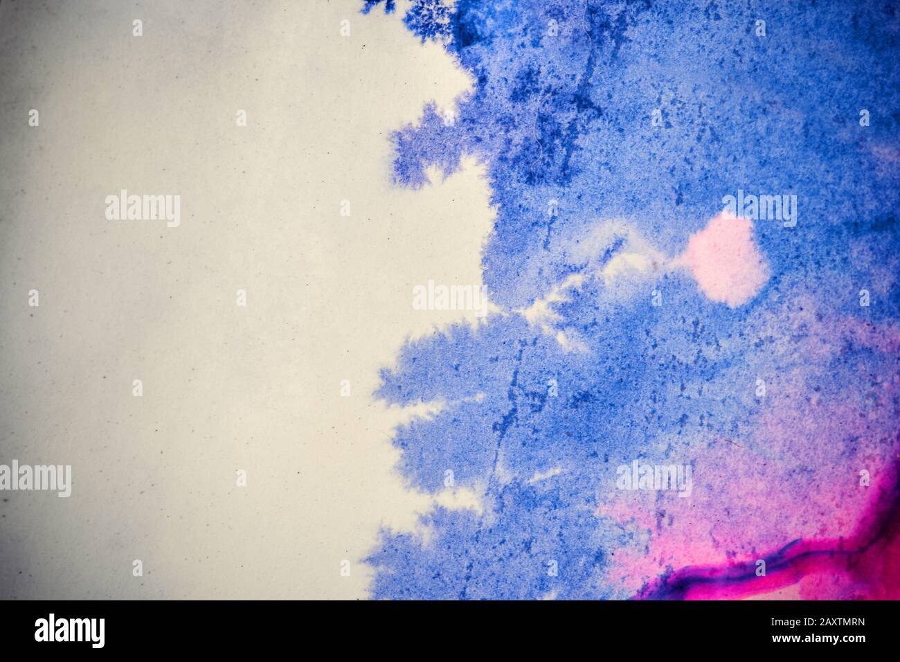 ink spot spreads on paper purple and pink color Stock Photo - Alamy