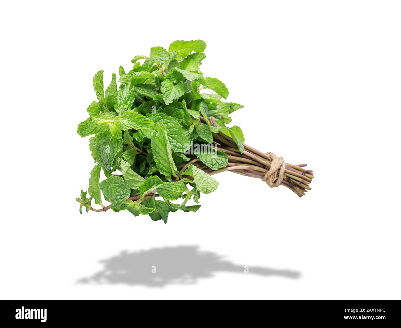 bunch of fresh green mint isolated on white background with shadow ...