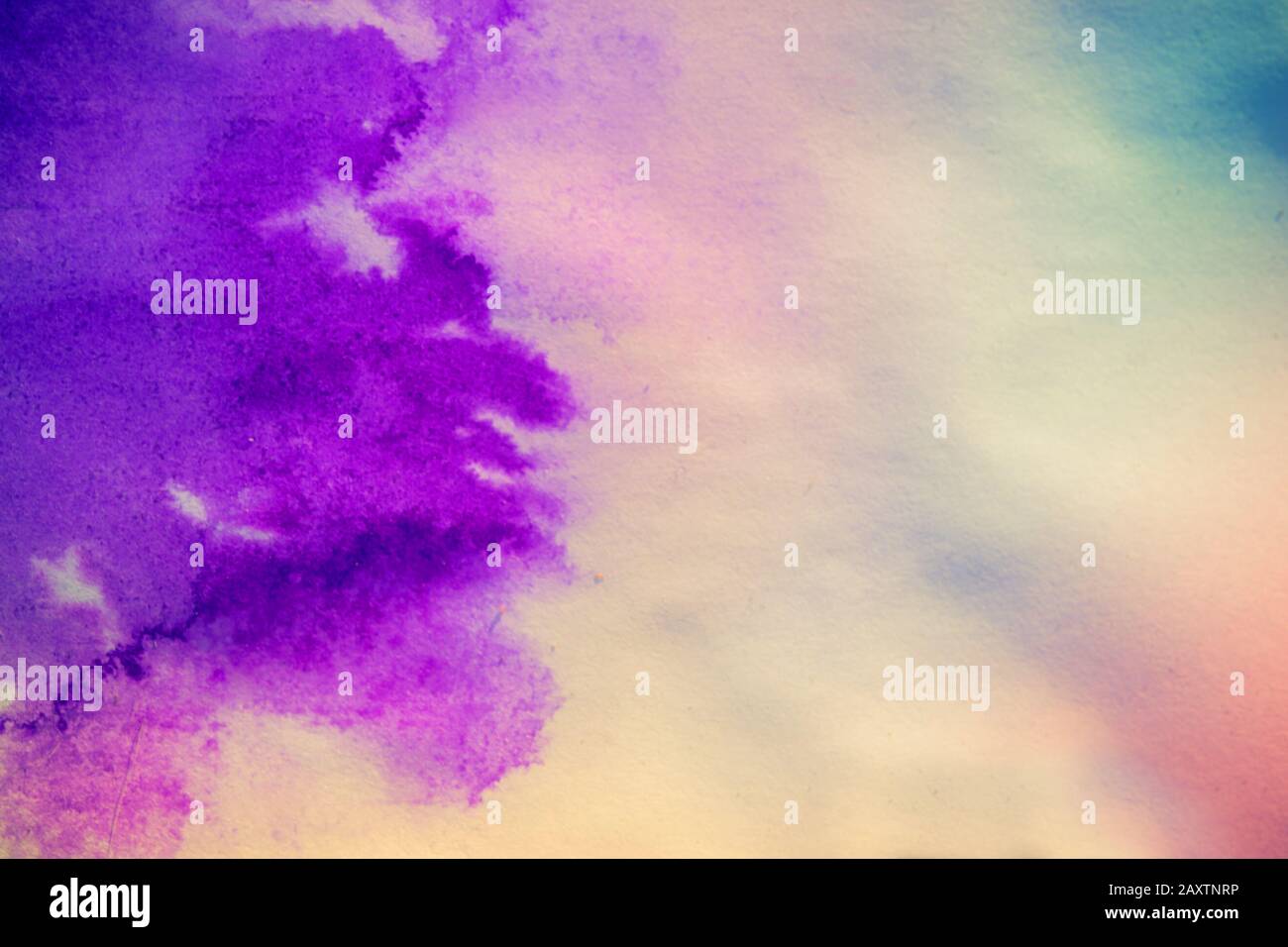 ink spot spreads on paper purple and pink color Stock Photo - Alamy