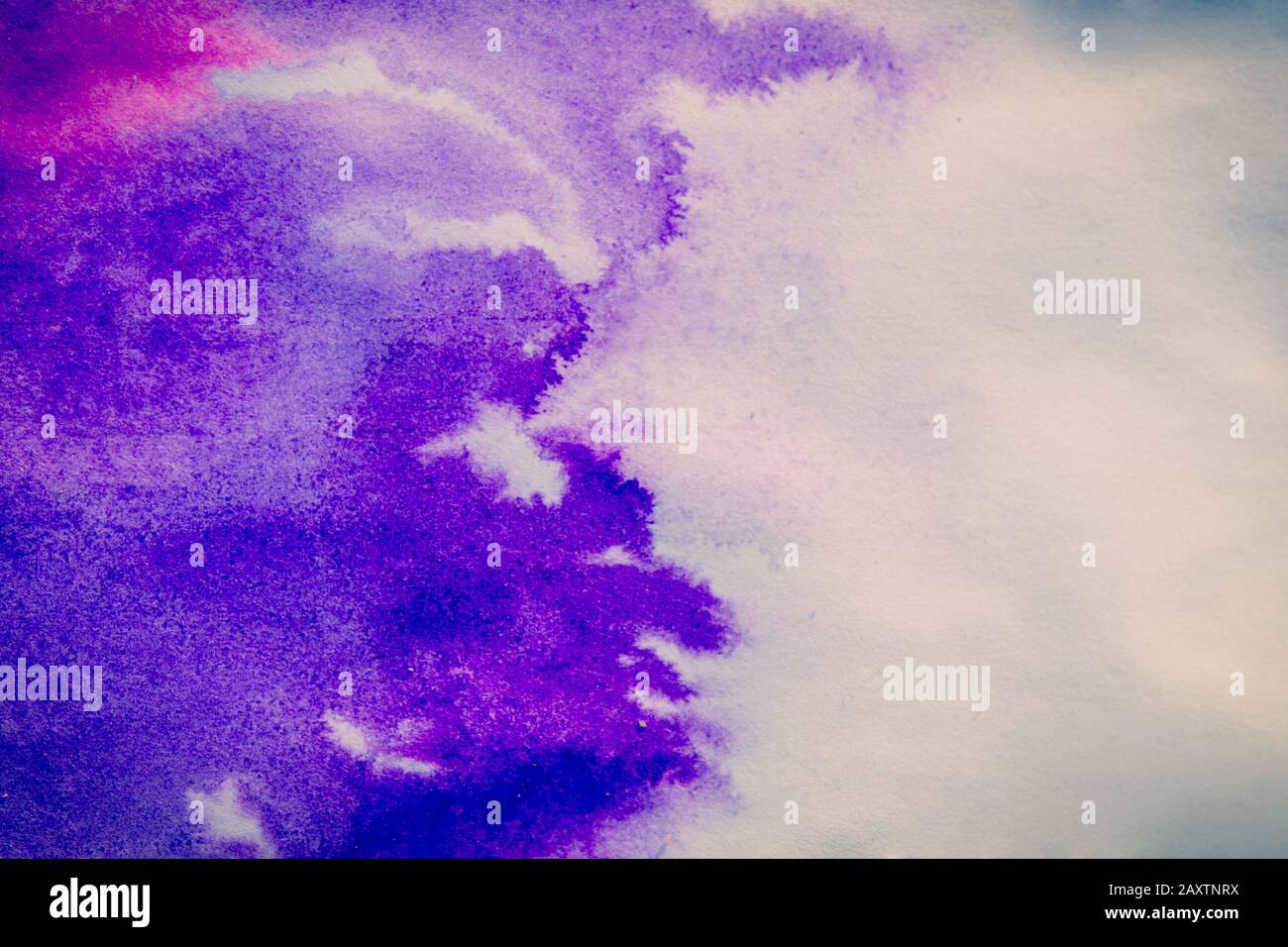 ink spot spreads on paper purple and pink color Stock Photo - Alamy