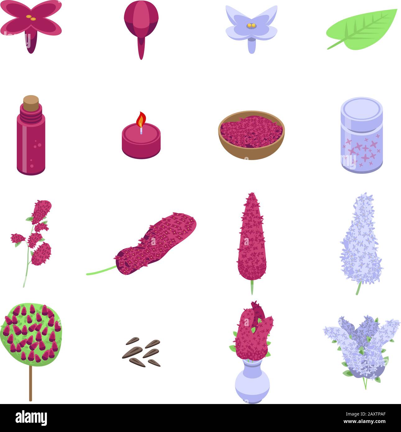 Lilac icons set, isometric style Stock Vector Image & Art - Alamy