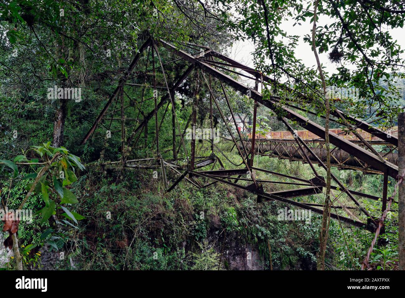 Constructions in a forest during daytime Stock Photo - Alamy