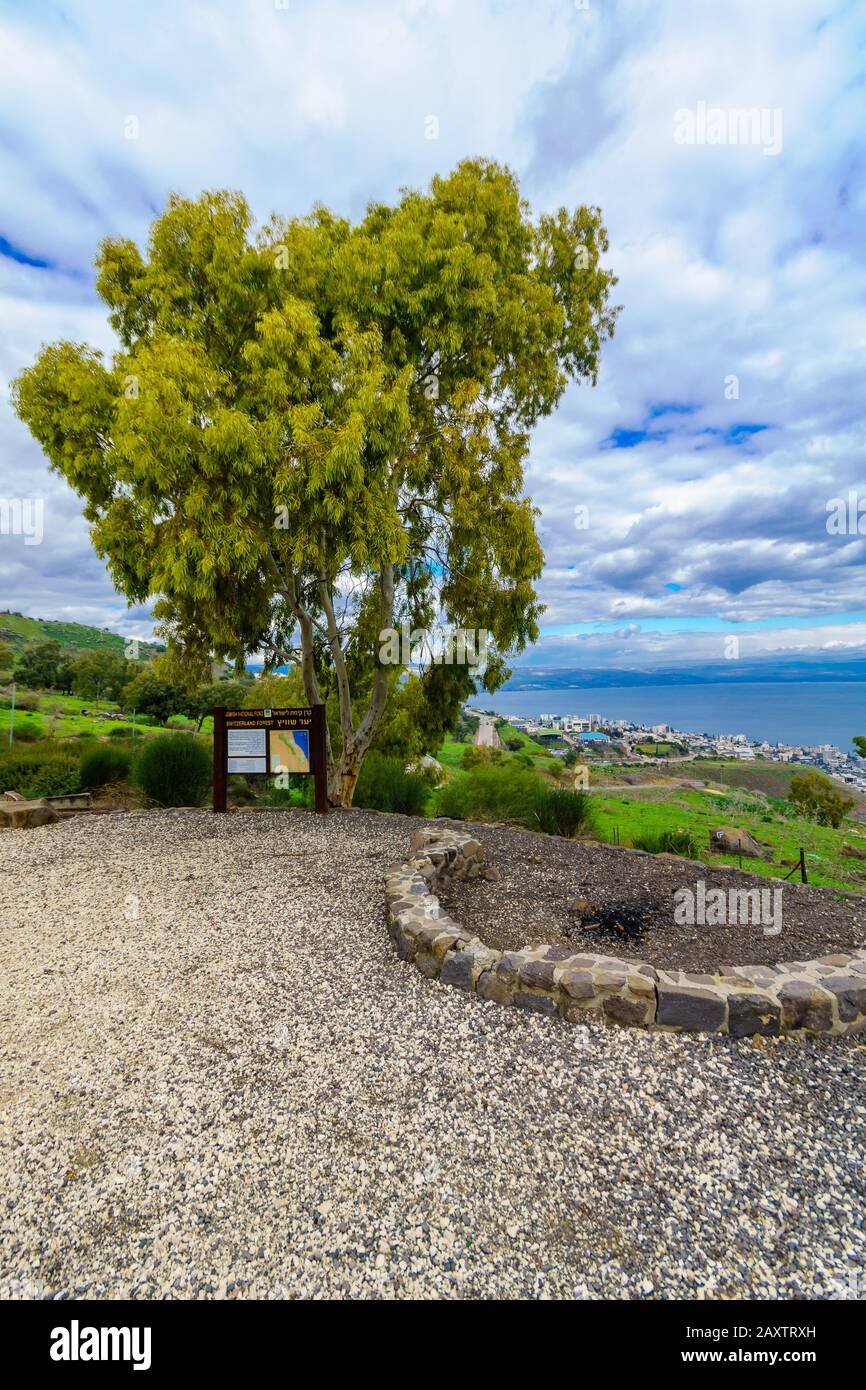 Tiberias, Israel - February 10, 2020: View of the Switzerland Forest ...