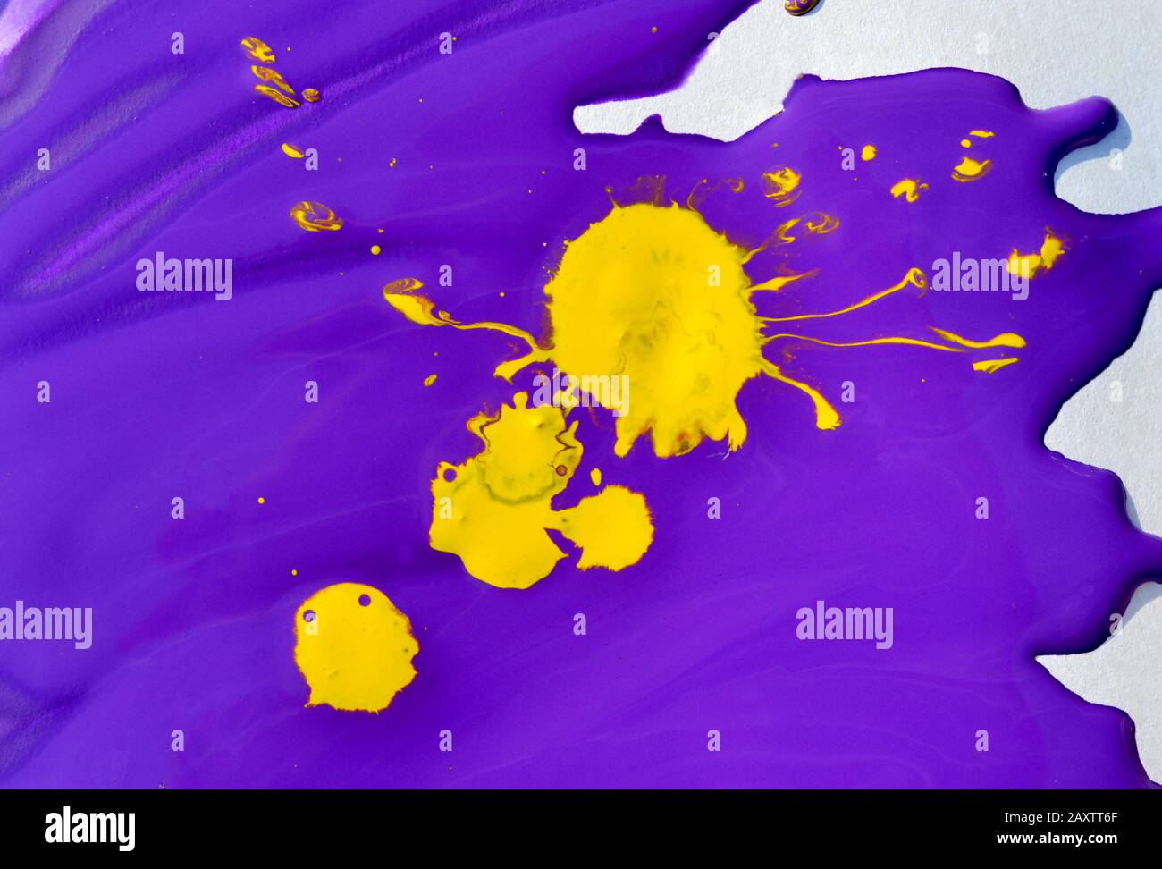 big yellow blotch on spilled purple fluid paint Stock Photo - Alamy
