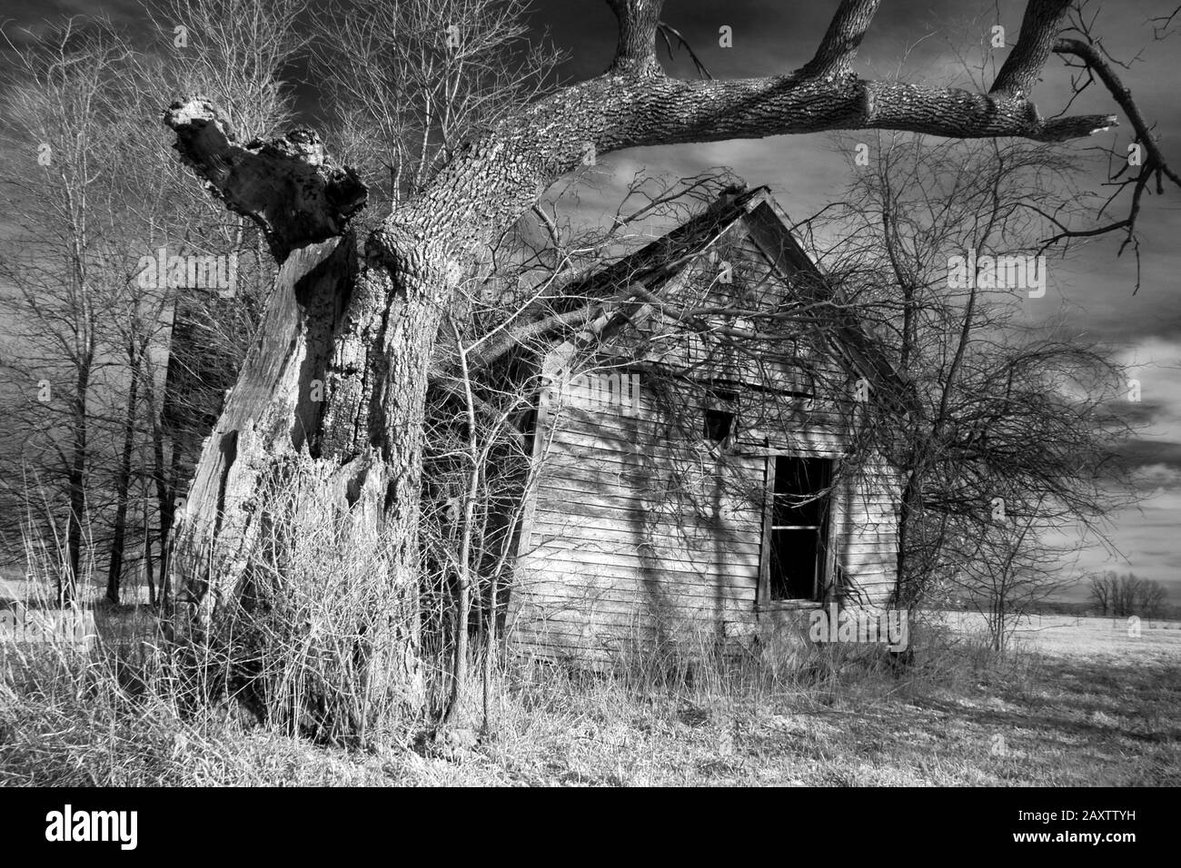 Grayscale shot of an abandoned farmhouse Stock Photo - Alamy