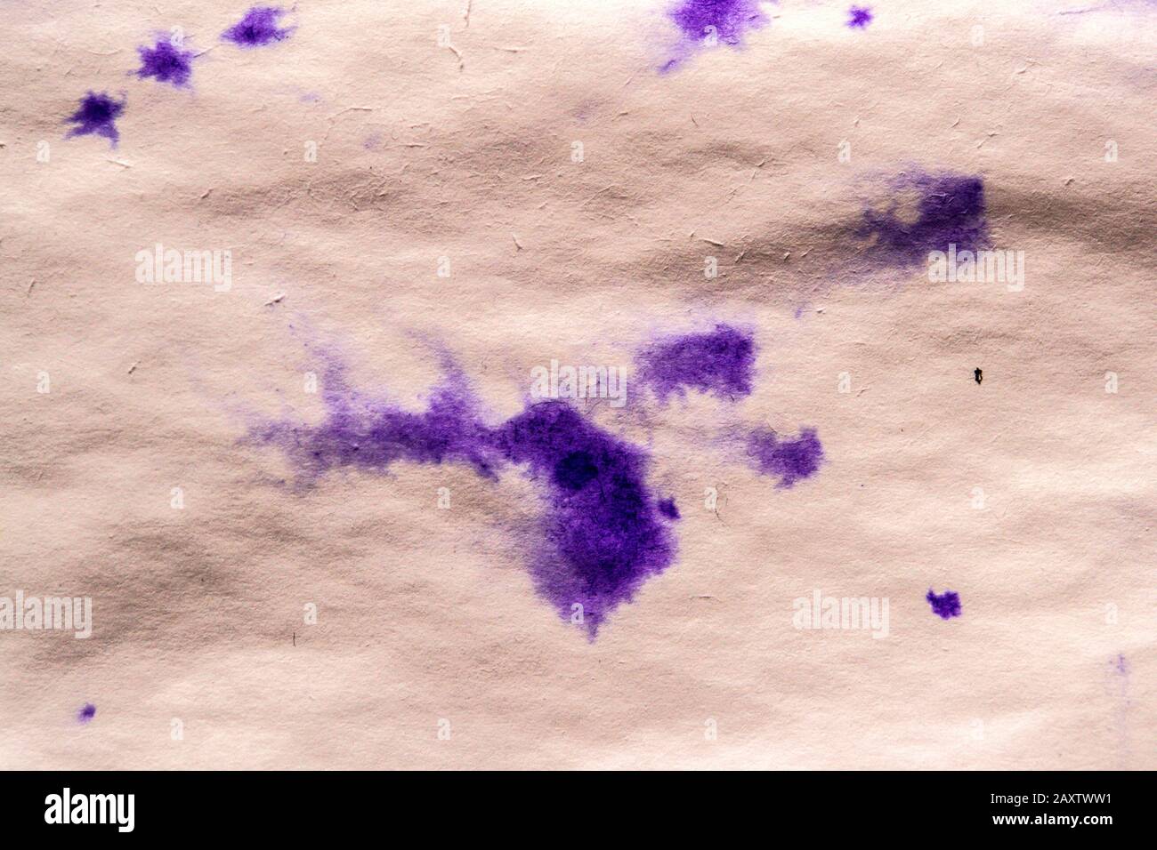 Purple ink stain on a sheet of white paper macro. Abstract background ...