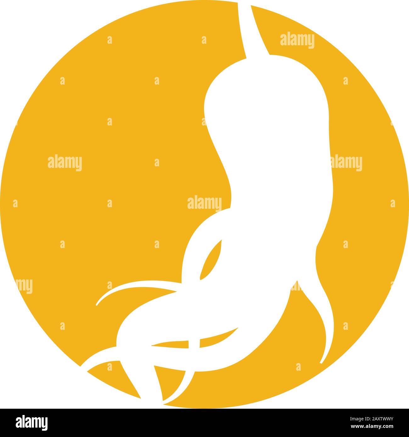Ginseng icon vector vectors hi-res stock photography and images - Alamy