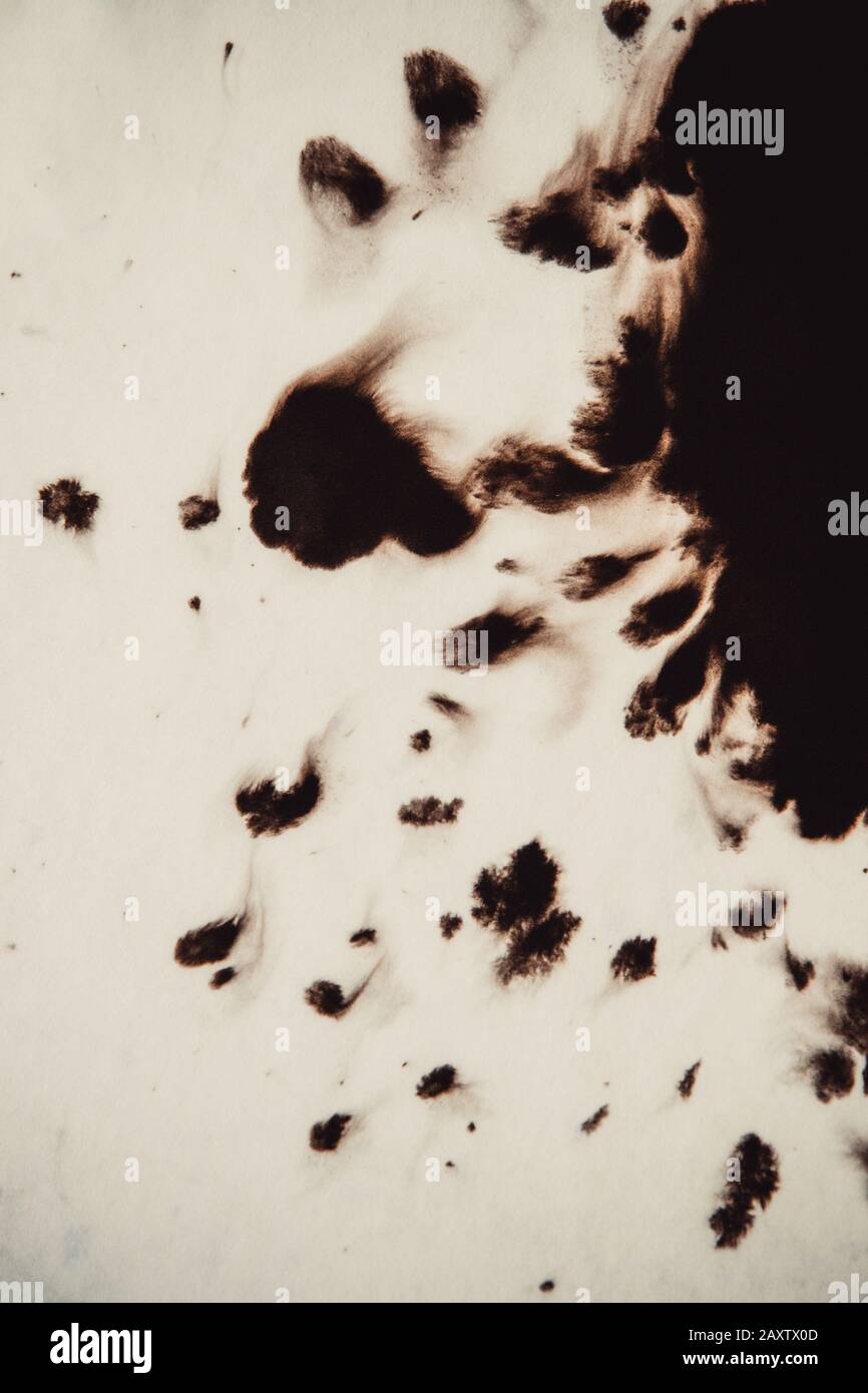 Black Ink Conveyed Over White Close-up Paper. Abstract Background Dark ...