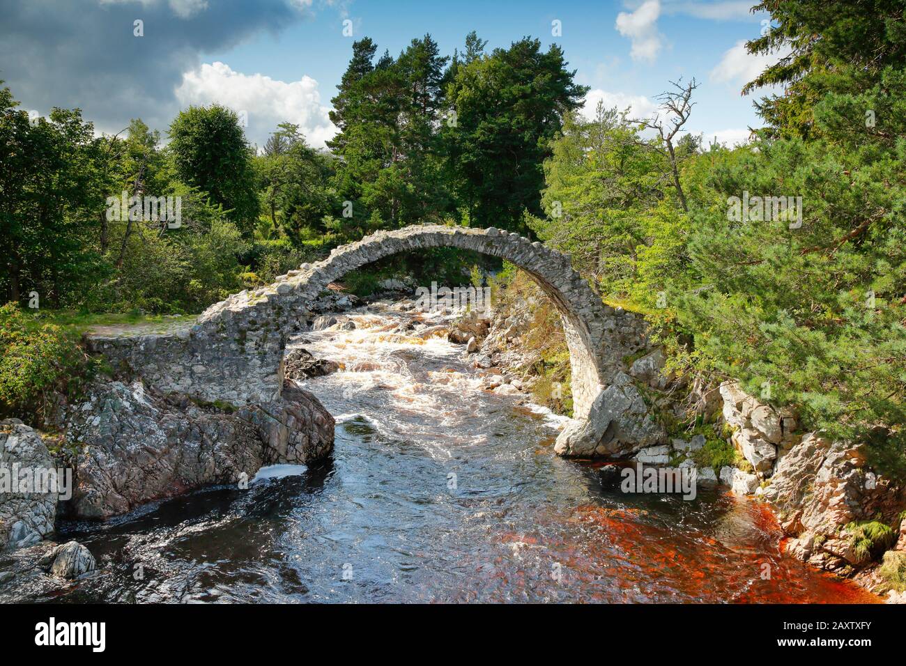 Carrbridge hi-res stock photography and images - Alamy