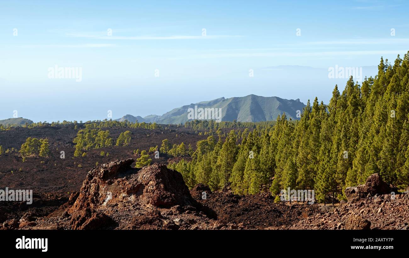 Volcano tenerife national park teide panoramic landscape Stock Photo ...