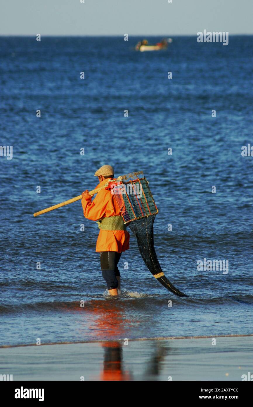 A seafood collector in the early morning working on the shore in the ...