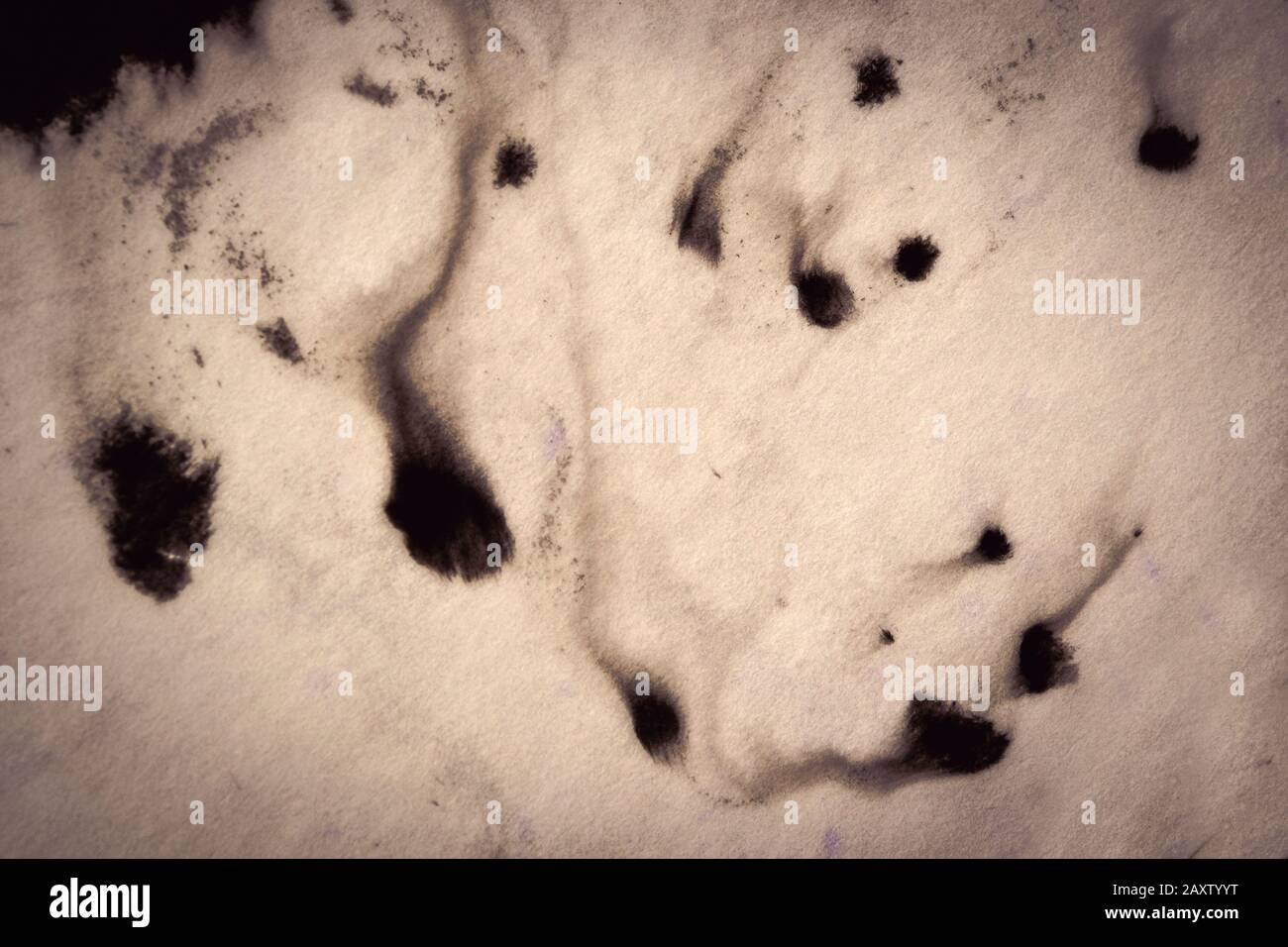 Black Ink Spread and Absorbed Over White Close-up Paper. Abstract ...