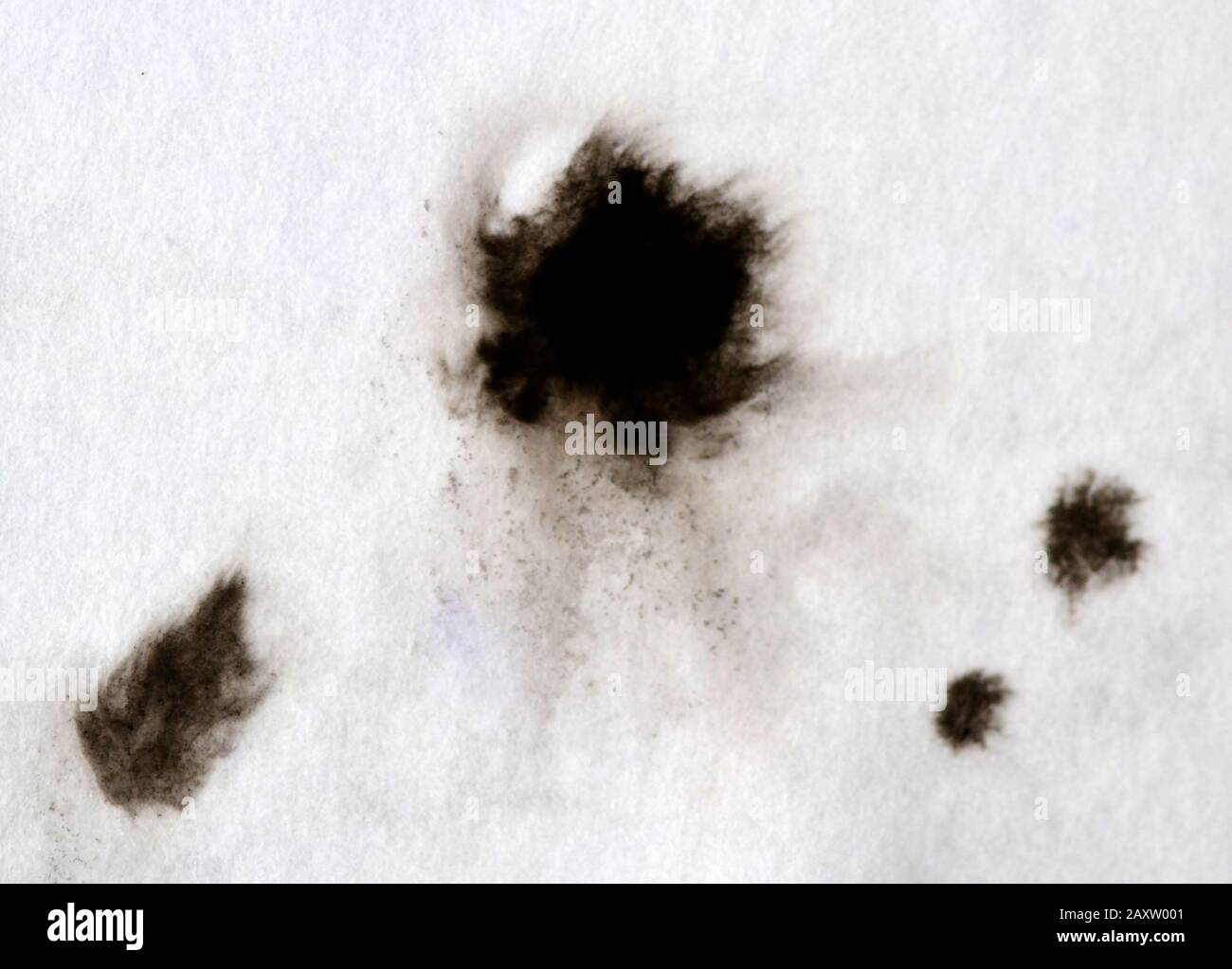 Ink spread absorption hi-res stock photography and images - Alamy