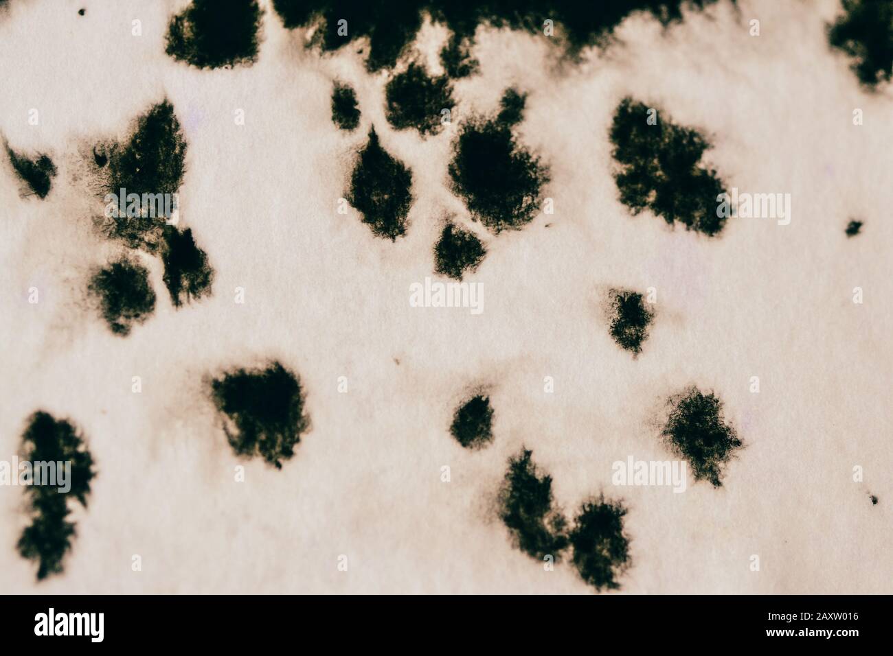 Black Ink Spread and Absorbed Over White Close-up Paper. Abstract ...