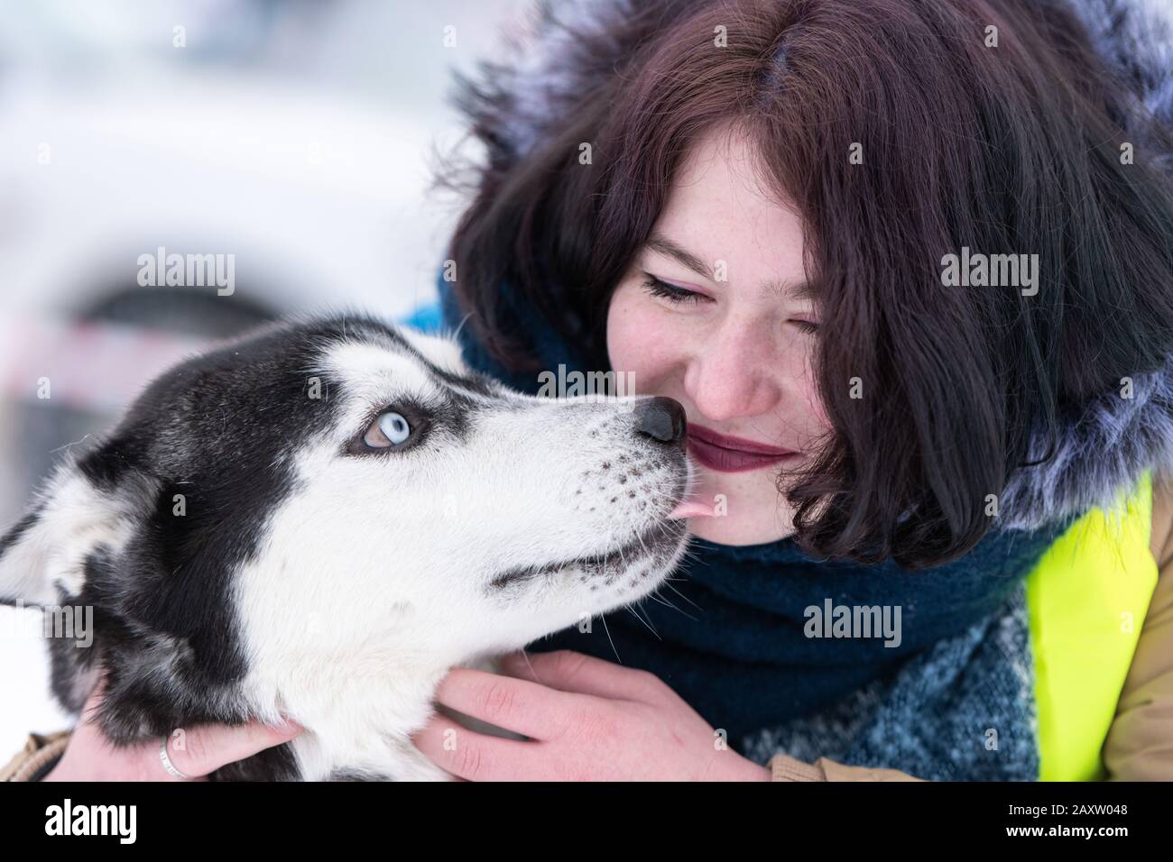 Husky Puppies Kissing