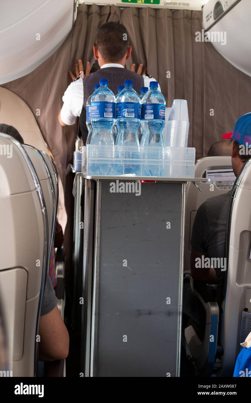 Member of cabin crew with water drinks trolley looks through curtains ...