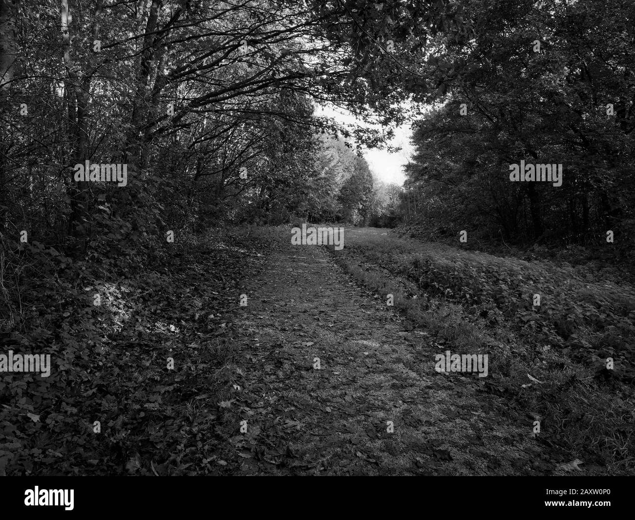 Bestwood country park hi-res stock photography and images - Alamy