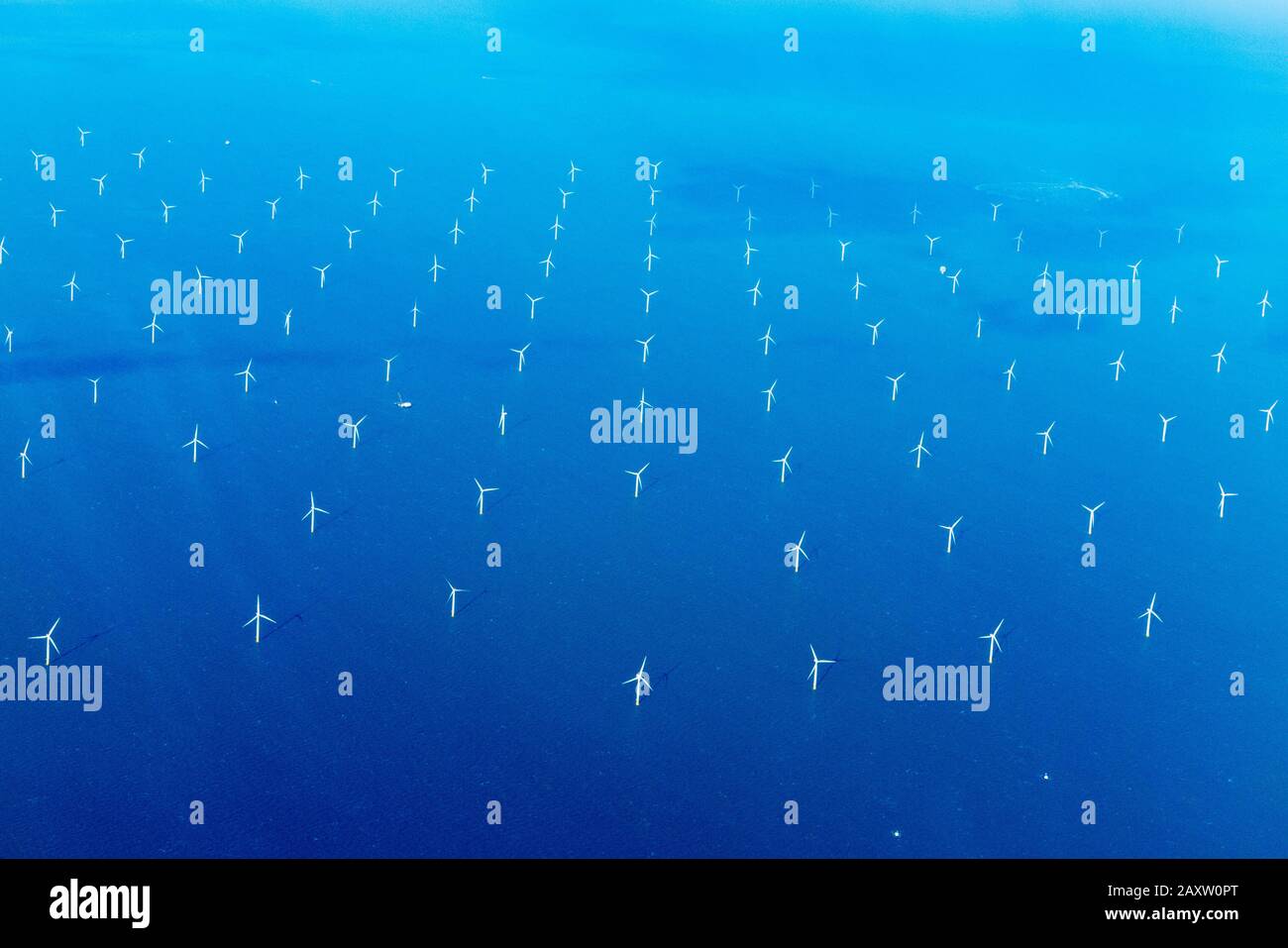 Offshore / off shore wind turbines at sea in the English channel, seen ...