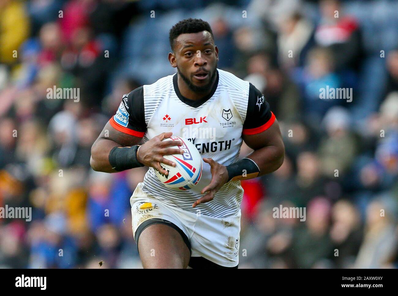 Gadwin springer hi-res stock photography and images - Alamy