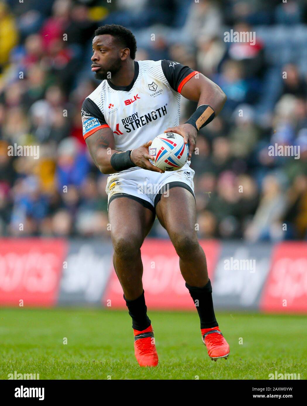 Toronto wolfpacks hi-res stock photography and images - Alamy