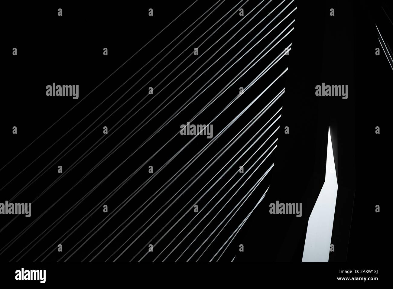 Erasmus bridge abstract image of the bridge structure at night Stock ...