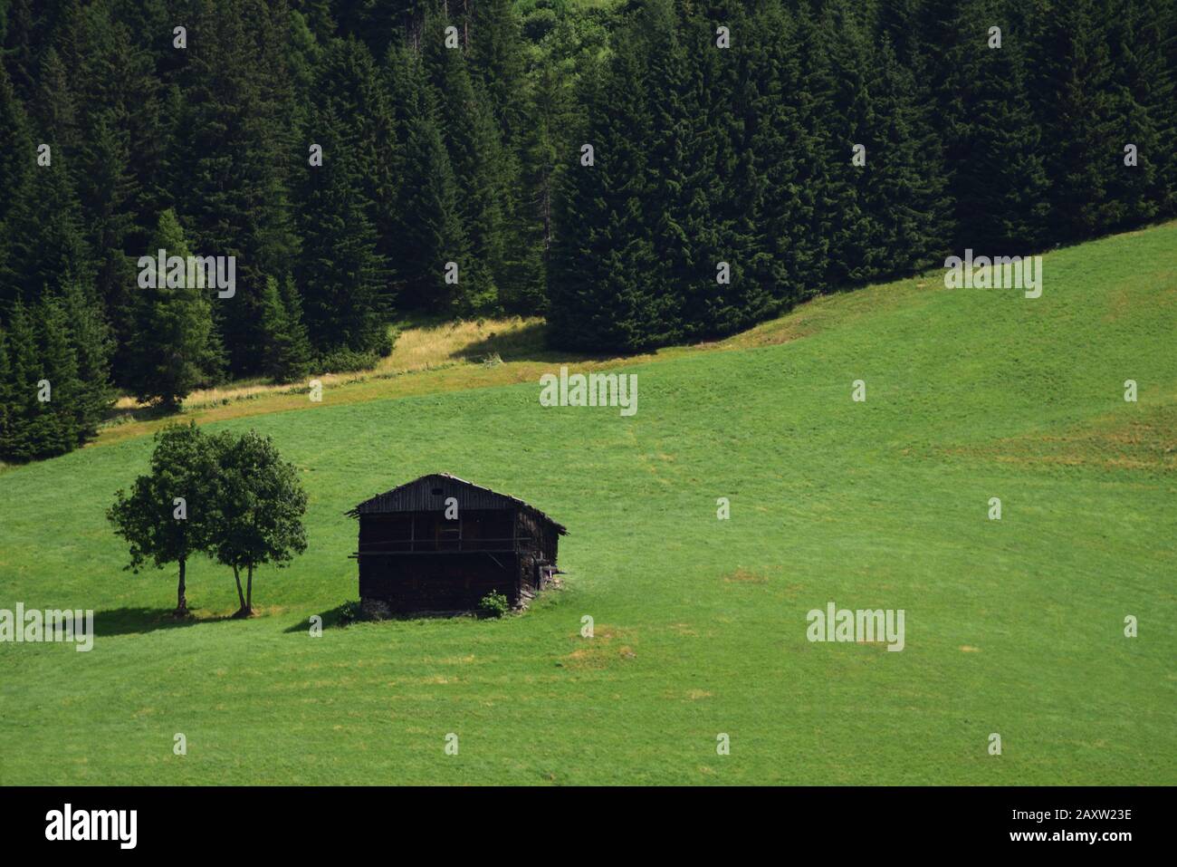 Rural scene with an old barn in a green meadow Stock Photo - Alamy