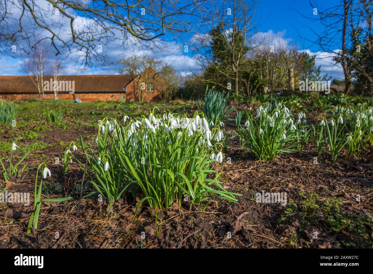 Wisley village hi-res stock photography and images - Alamy