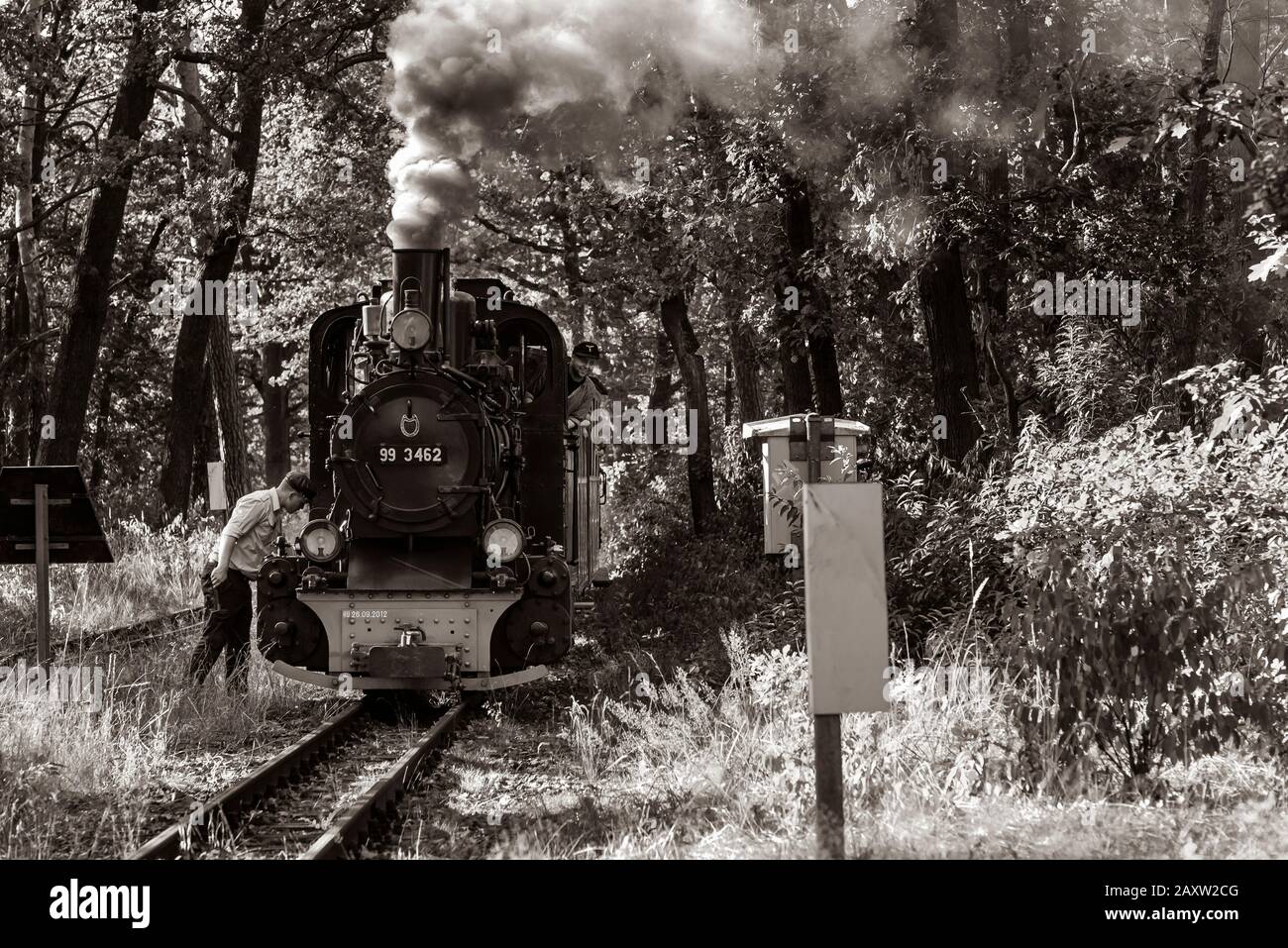 Small Steam Locomotive in Forest, Small Steam Locomotive, Park railway ...