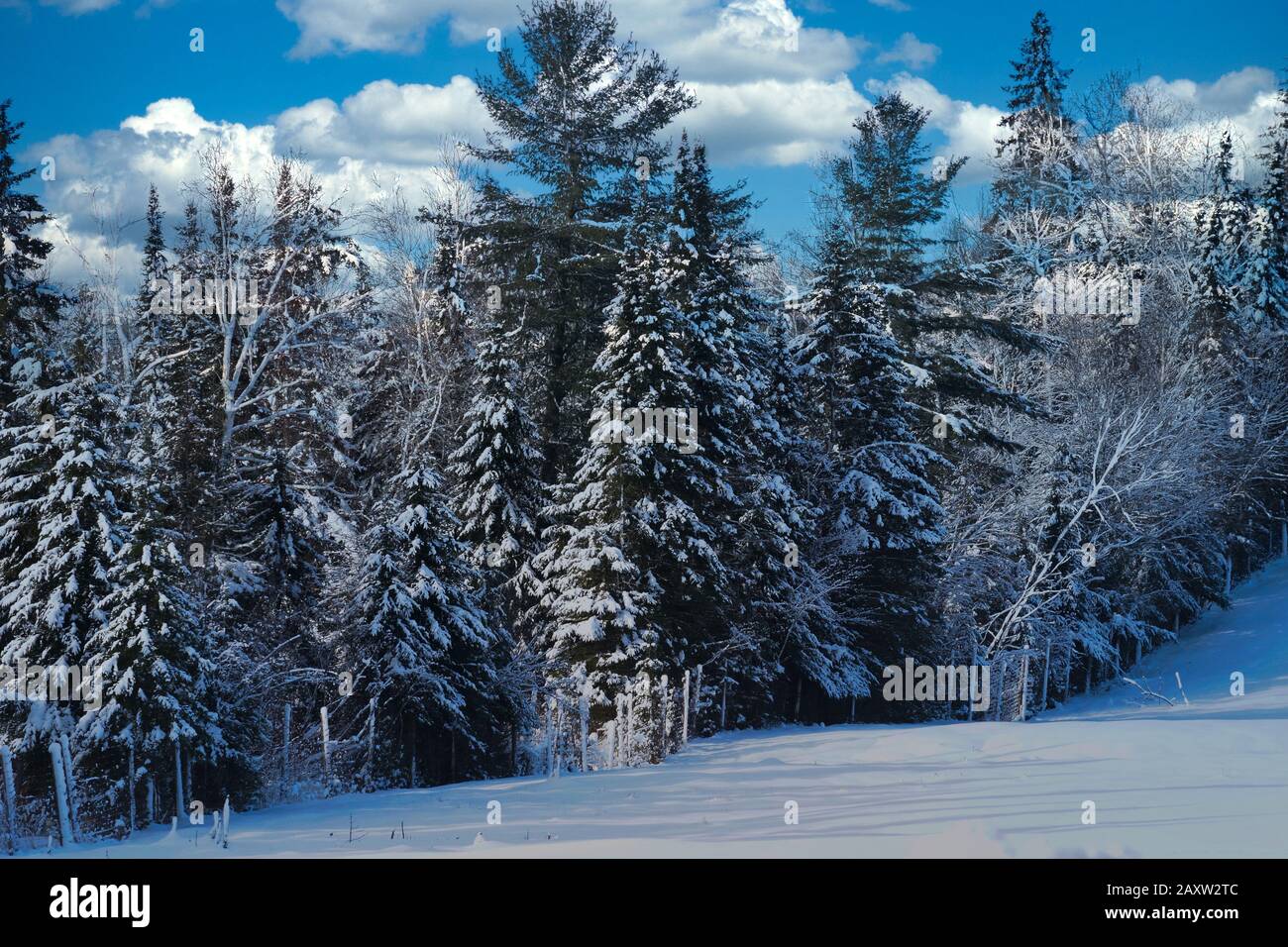 Montreal,Quebec,Canada,December 25,2012.Winter landscape scenes ...