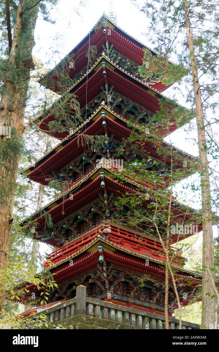 Colourful trees in autumn at Nikko, Japan shot on 60 megapixel camera ...