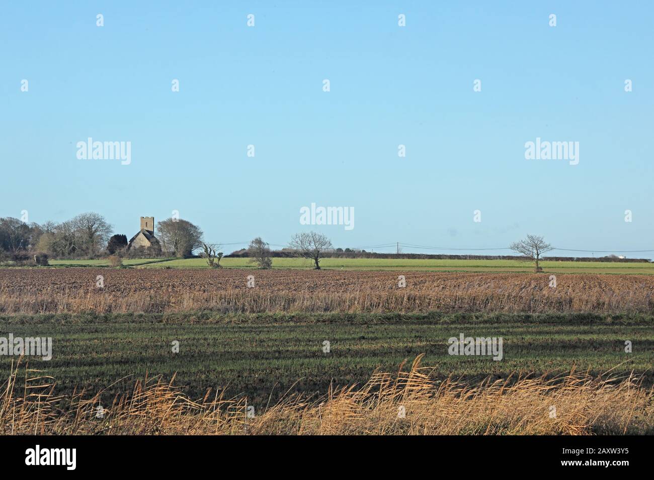 view over drained marshes to Hempstead Church Eccles-on-Sea, Norfolk ...