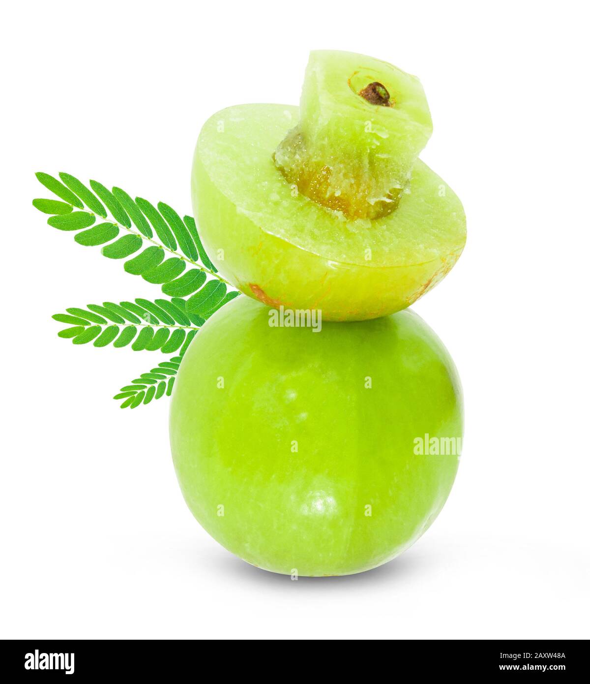 Amla green fruits ,Phyllanthus emblica isolated on white background ...