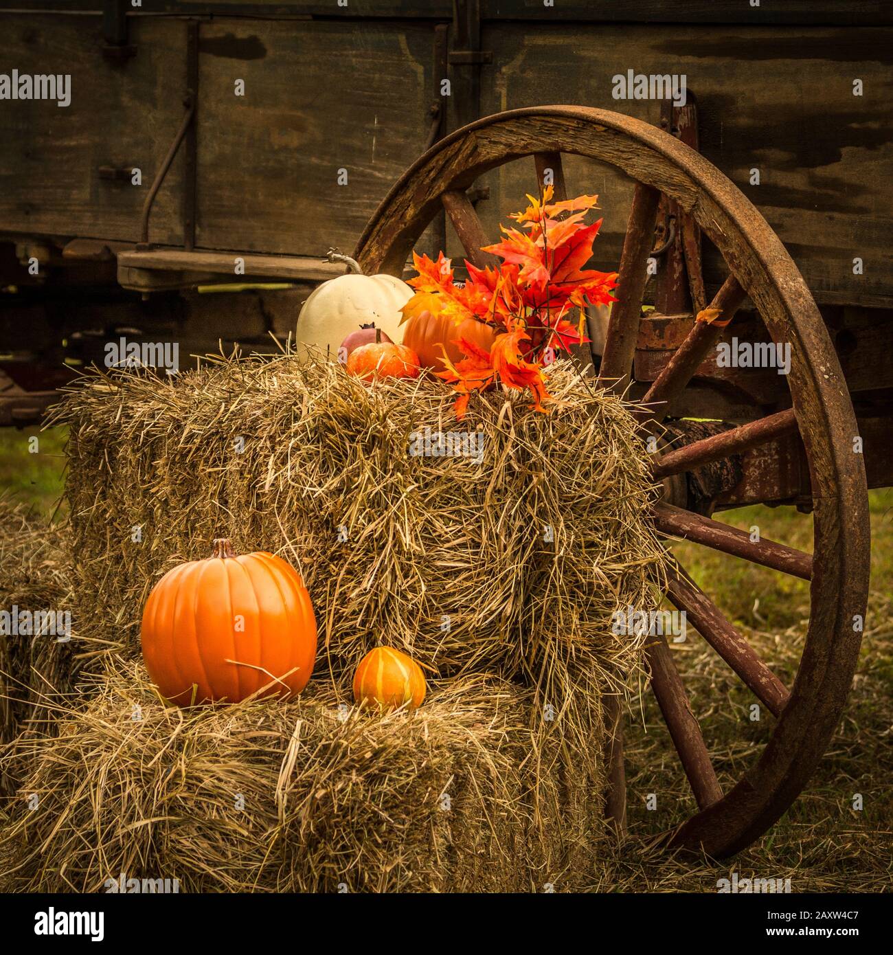 Autumn decorations hi-res stock photography and images - Alamy
