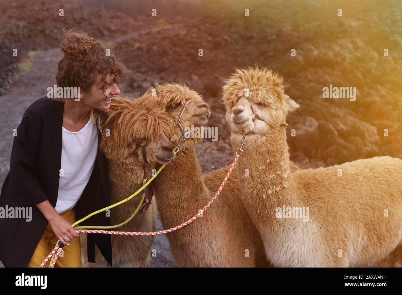 Young woman hugs her llama friends in the mountains Stock Photo - Alamy