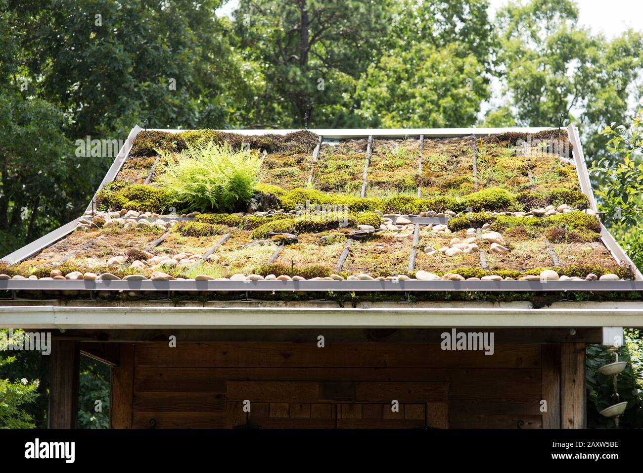 Living with plants hi-res stock photography and images - Alamy