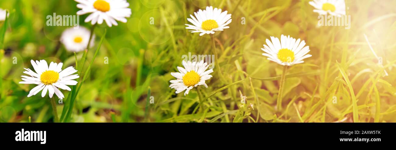 Wide angle field hi-res stock photography and images - Alamy