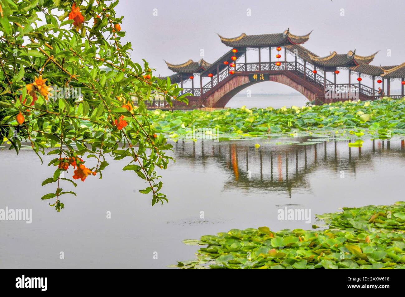 Jiangsuchina hi-res stock photography and images - Alamy