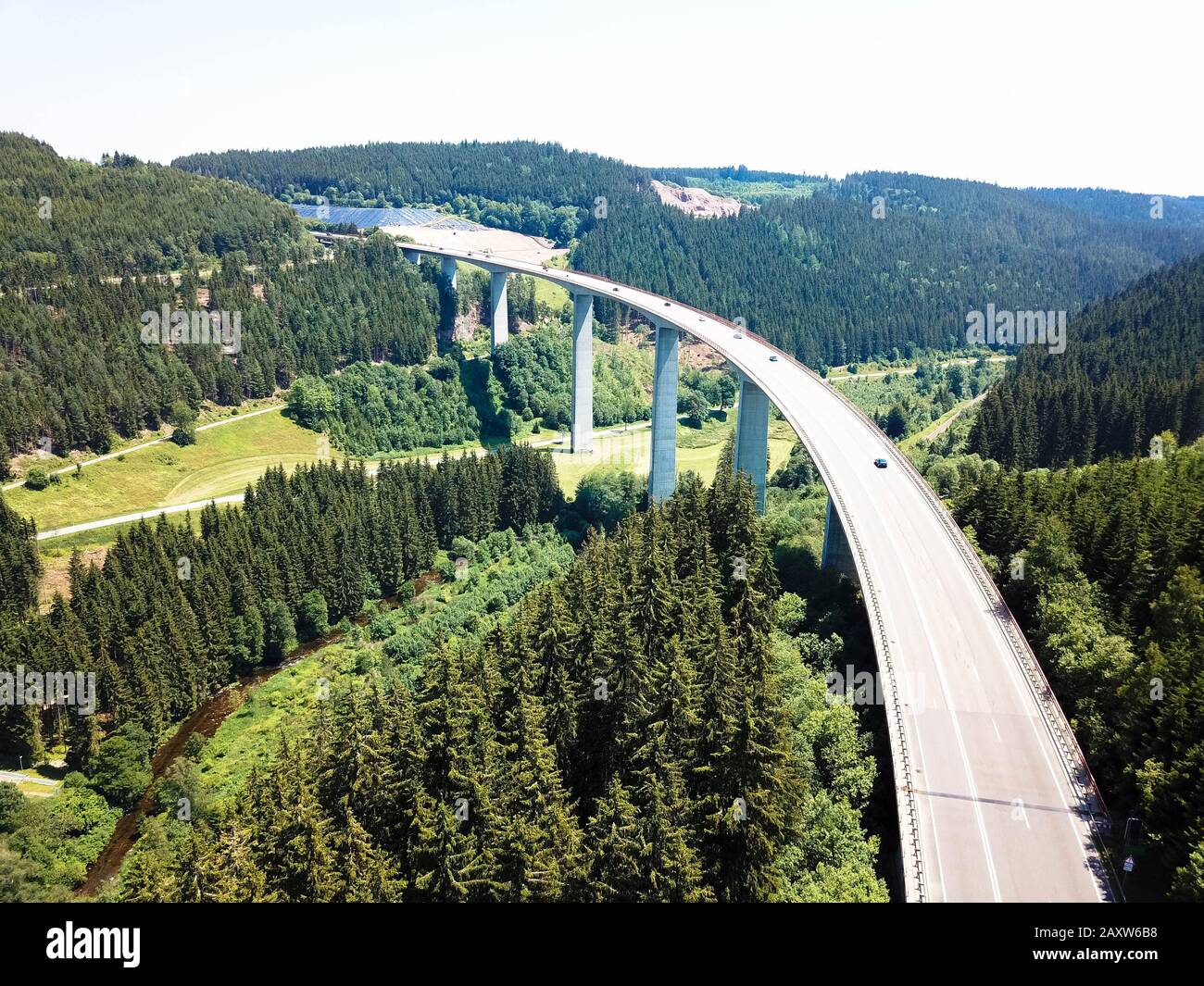 Suicide forest hi-res stock photography and images - Alamy