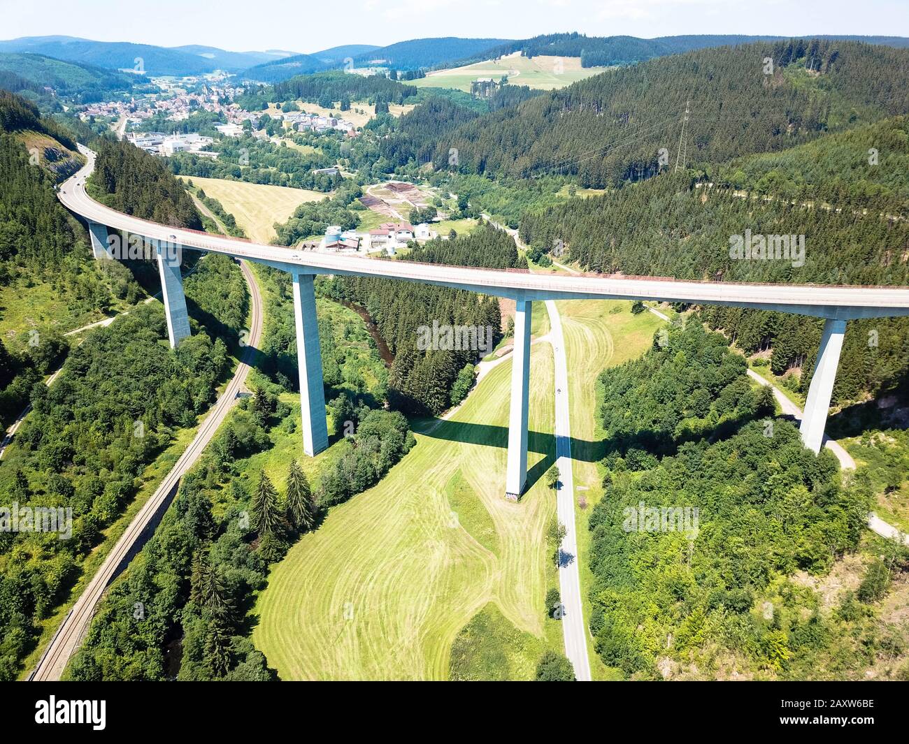 Suicide forest hi-res stock photography and images - Alamy