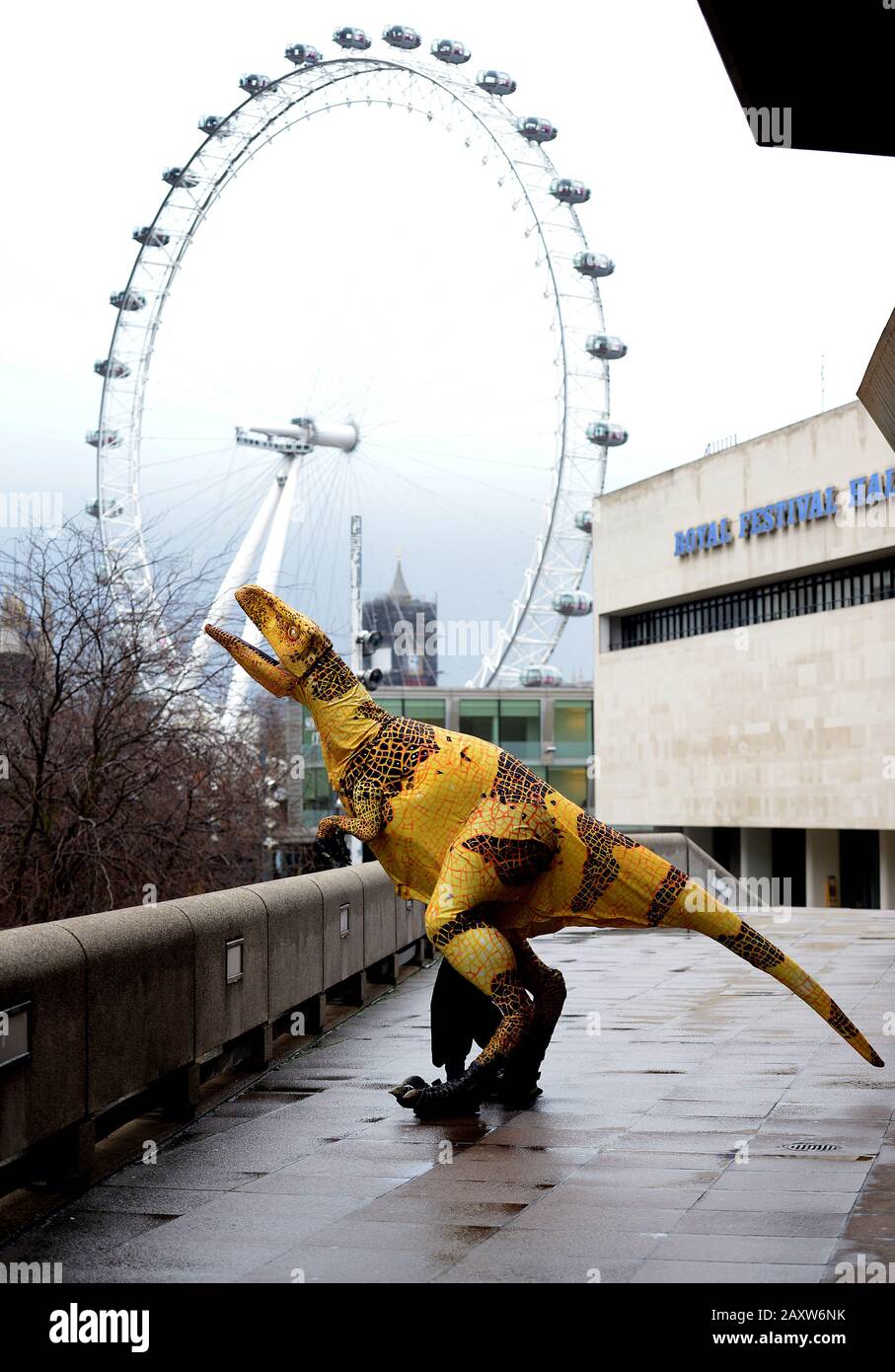A Fukuiraptor dinosaur puppet from Erth's Dinosaur Zoo stands on a ...