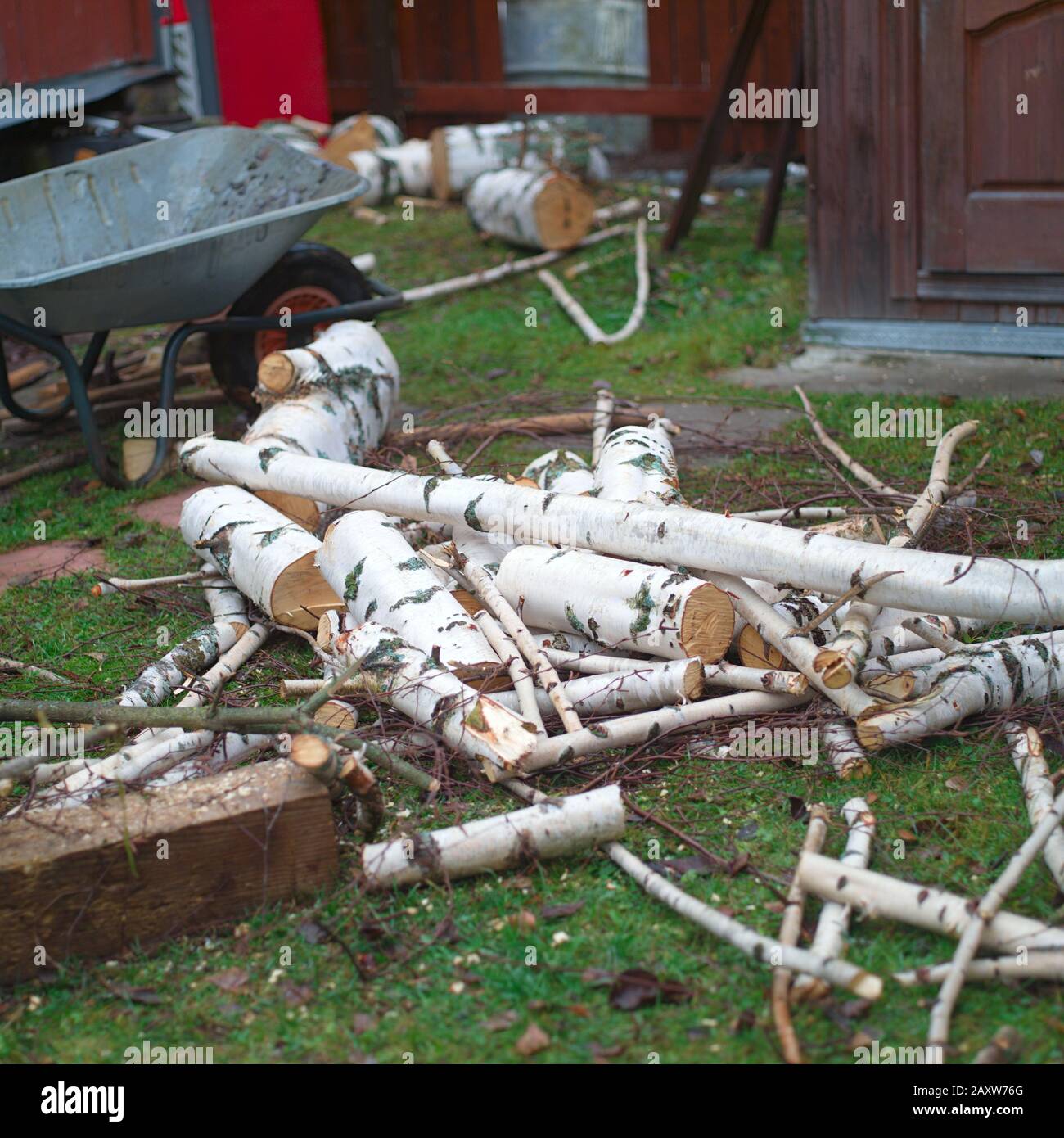 Complete messy backyard while cutting firewood, outdoor square ...