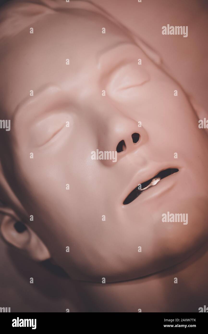 One Layout medical mannequin face man with open mouth close-up, medical ...